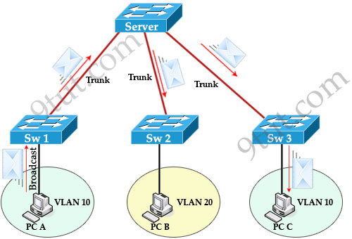 CCNA Training » VLAN Trunking Protocol VTP Tutorial CCNA Training » VLAN Trunking Protocol VTP Tutorial